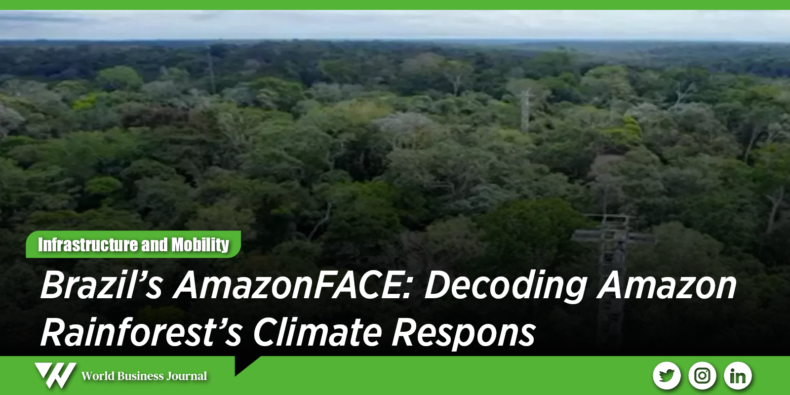 Brazil's AmazonFACE: Decoding Amazon Rainforest's Climate Respons ...