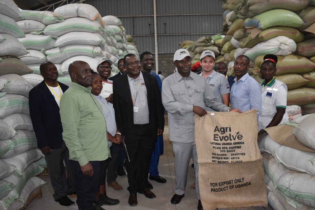 UCDA Leads Drive to Export Ugandan Coffee to World - World Business ...