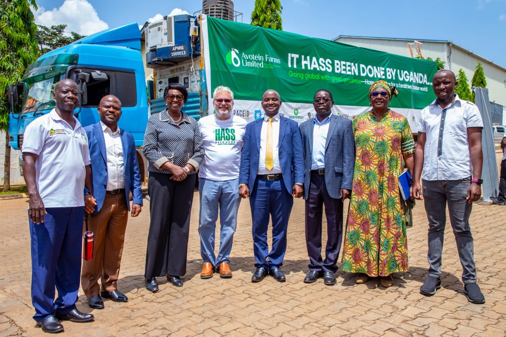 Uganda’s Hass Avocado Market Expands with Avotein Farms’ Sea Exports ...